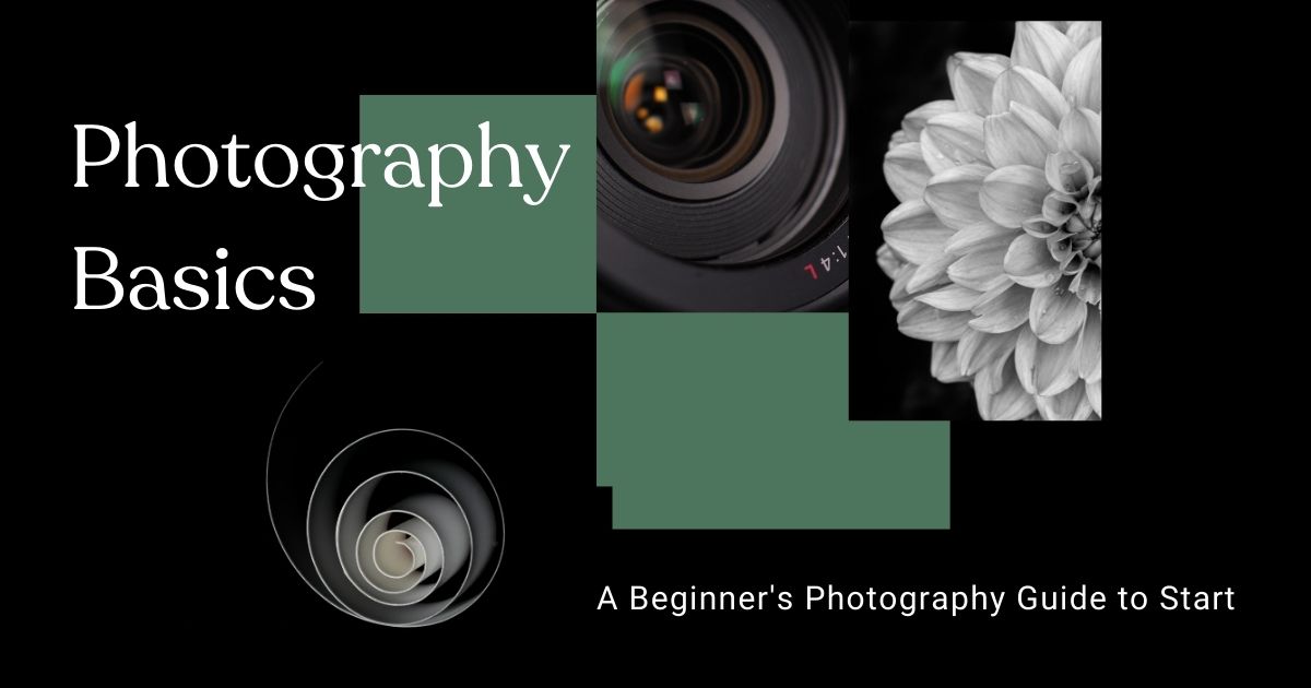 Photography Basics: A Beginner's Photography Guide to Start